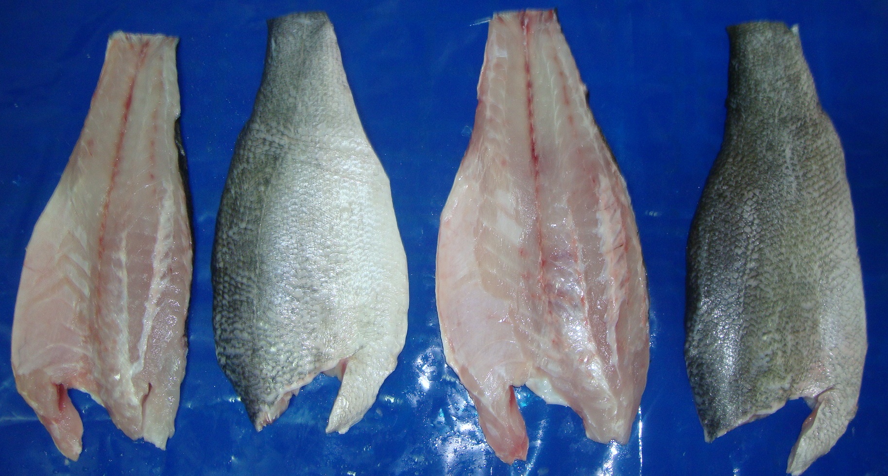 About Nyanza Perch - Nyanza Perch Limuted - Fish Processing & Exporting ...